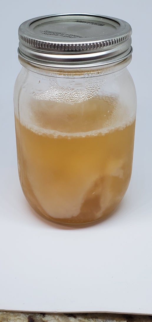 Scoby & Starter tea – Carlington Booch
